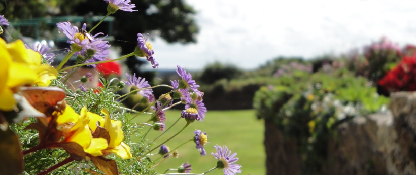Taskus Barns - Luxury holiday cottages in Cornwall